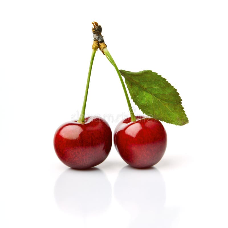 Still Life With Pair Of Red Wet Cherry Fruit Stock Photo - Image of ...