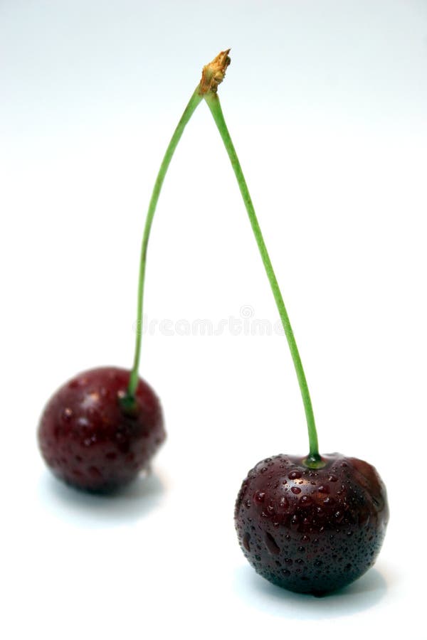 Two cherries stock image. Image of natural, dessert, healthy - 881411