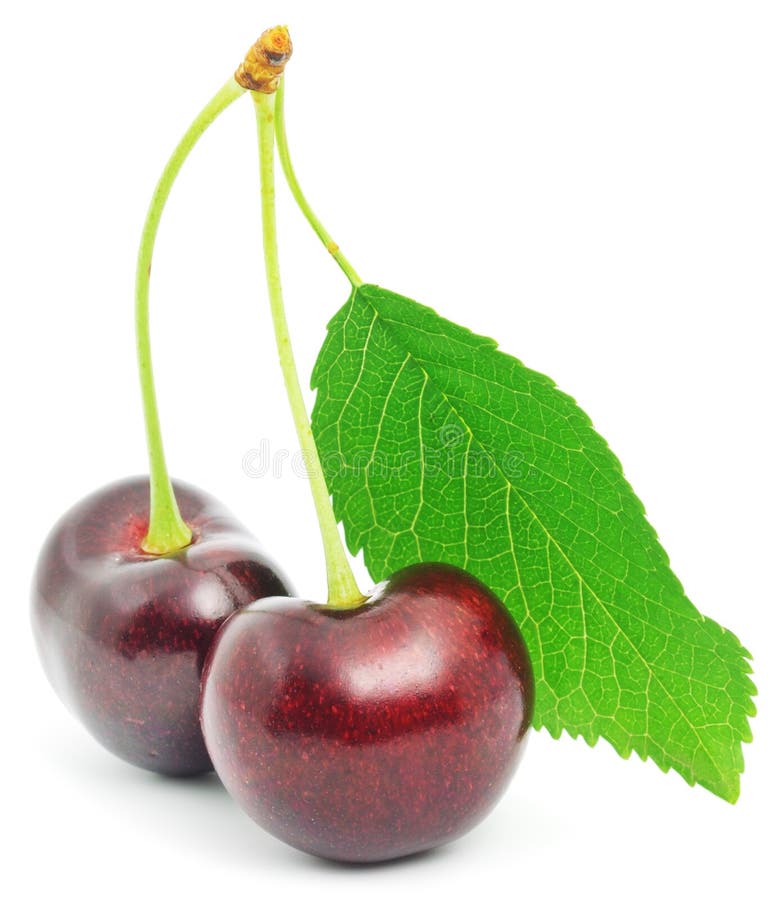 Two Cherries stock image. Image of macro, colors, shaped - 51800187