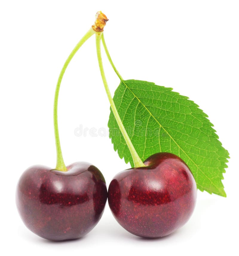Two Cherries stock photo. Image of closeup, cherry, shape - 52761304