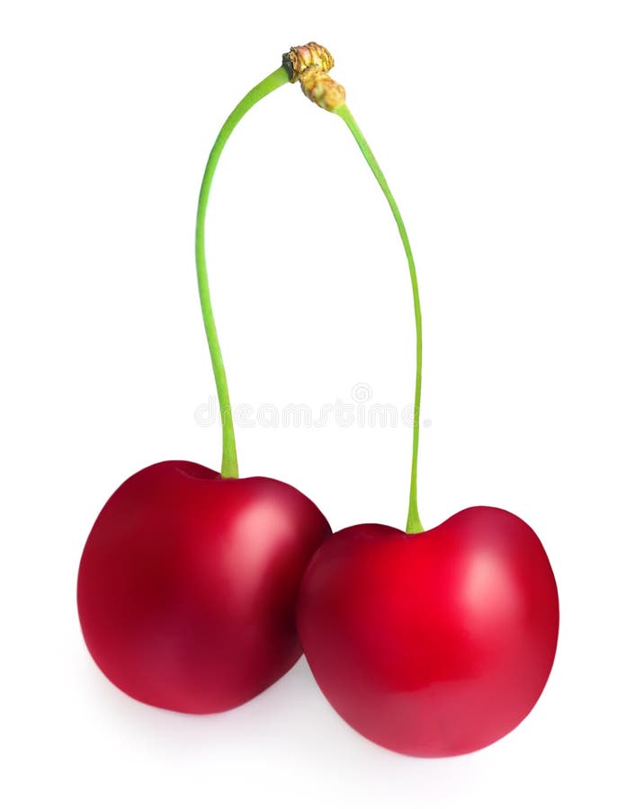 Two Cherries Isolated on White Background. Cherry Berries Close-up ...