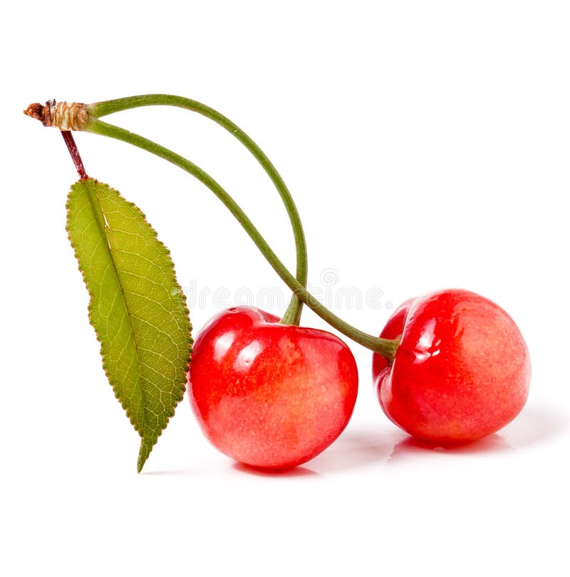Two Cherries with Leaf Closeup on White Background Stock Image - Image ...