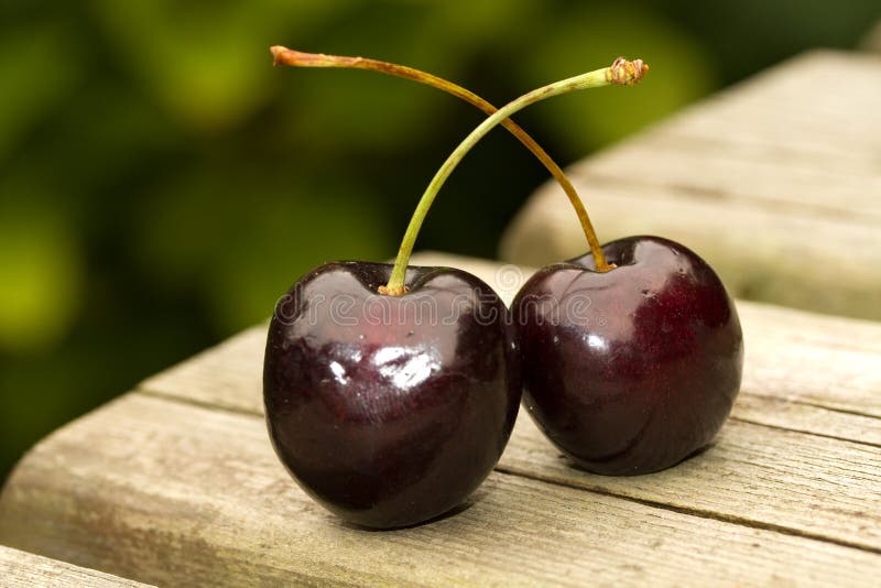 Two cherries stock image. Image of vitamin, diet, summer - 32625775