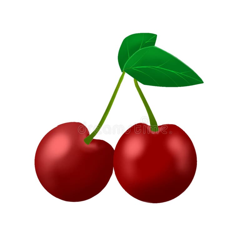 Two cherries , red cherry stock illustration. Illustration of cherry ...