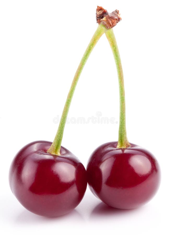 Two cherries with leaf stock photo. Image of juicy, dessert - 25160572