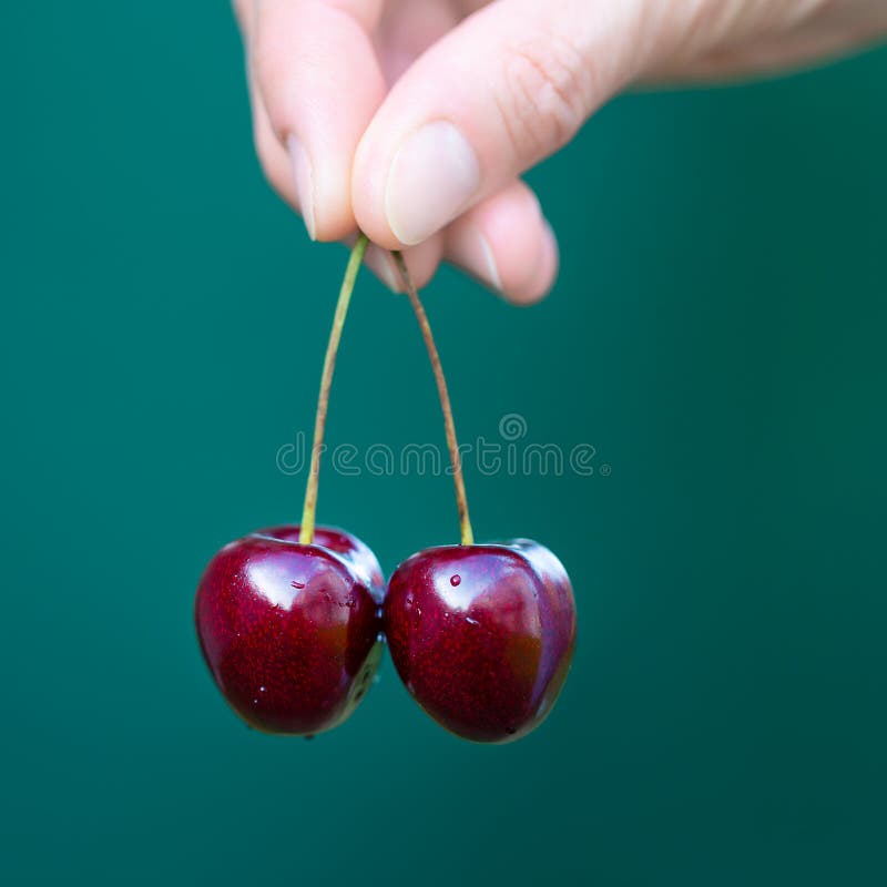Two Cherries stock photo. Image of diet, female, cherry - 175804070