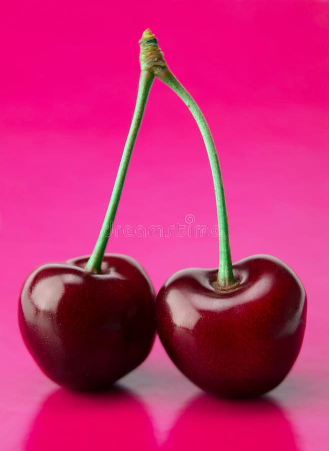 Cherry tree stock photo. Image of sweet, ingredient, cherry - 10750198