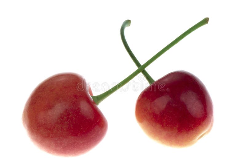 Two cherry stock photo. Image of organic, shot, ripe - 11713802