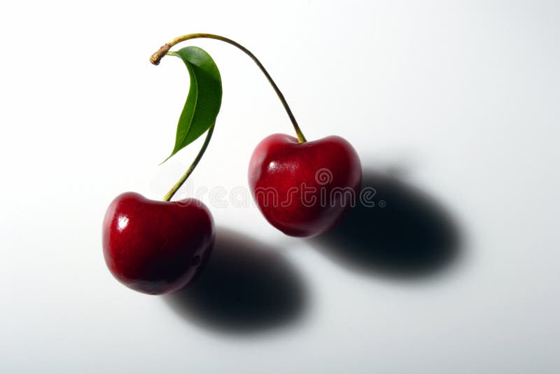 Two cherry stock image. Image of nature, summer, fruit - 1407387