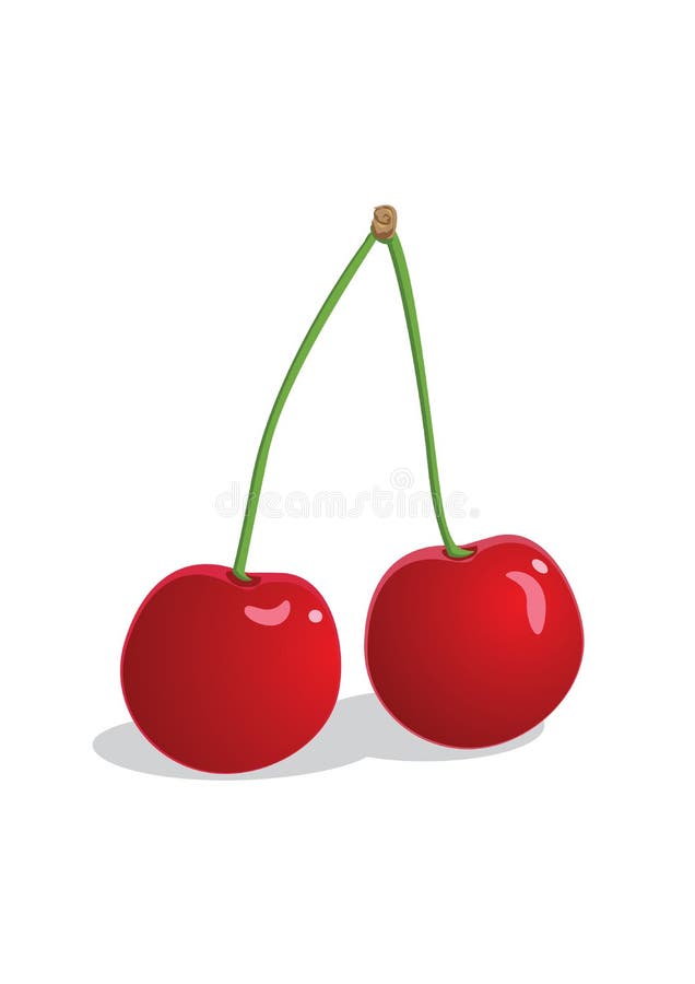 Two cherry stock vector. Illustration of food, sweet - 14291097