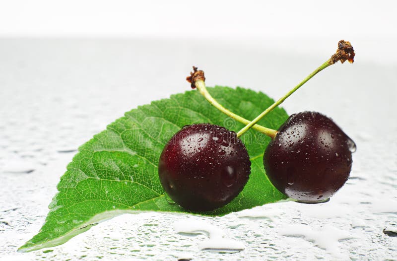 Two cherry stock image. Image of leaf, closeup, fruit - 25650221