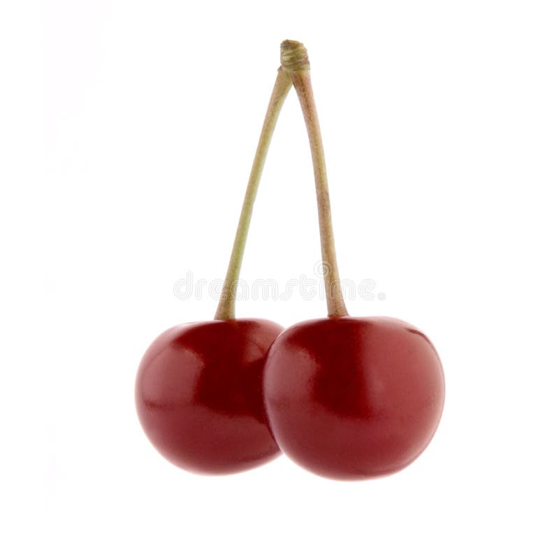 Two cherry stock image. Image of isolated, design, nature - 2701577