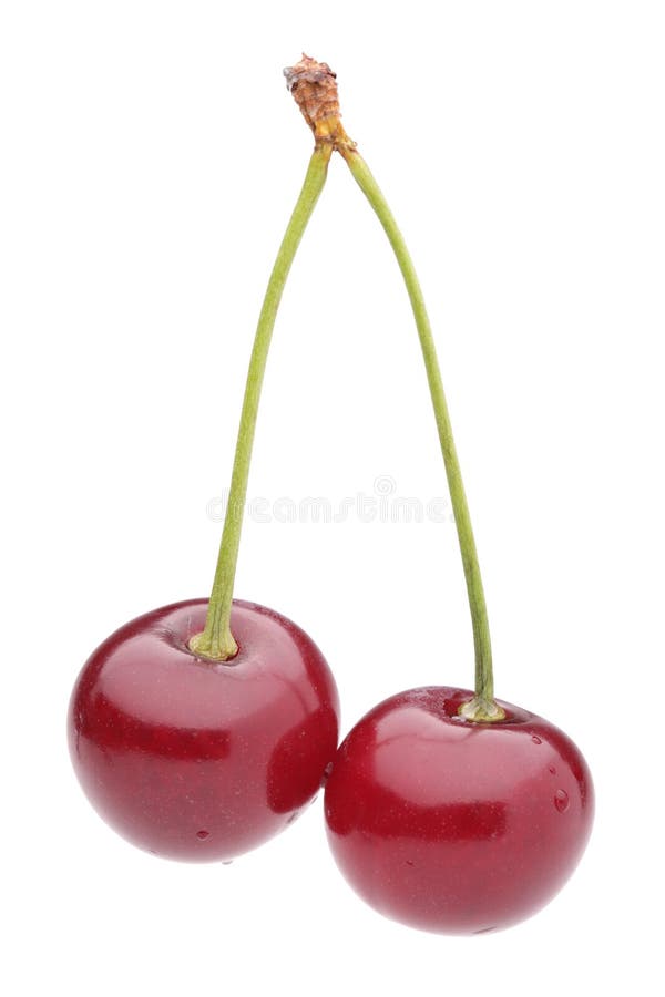 Sweet cherry isolated stock photo. Image of sweet, berry - 5541138