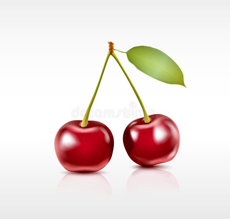 Two cherry berries stock vector. Illustration of food - 57556866