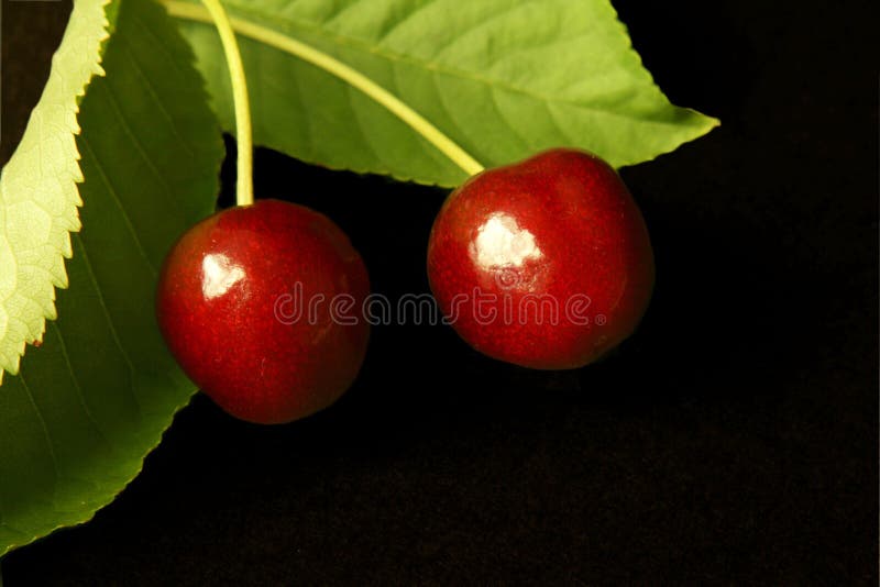 Two cherrys stock image. Image of kitchen, appetizing - 2708009
