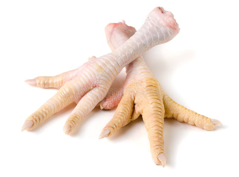 Two Chicken Feet Isolated on White Background Stock Photo - Image of ...