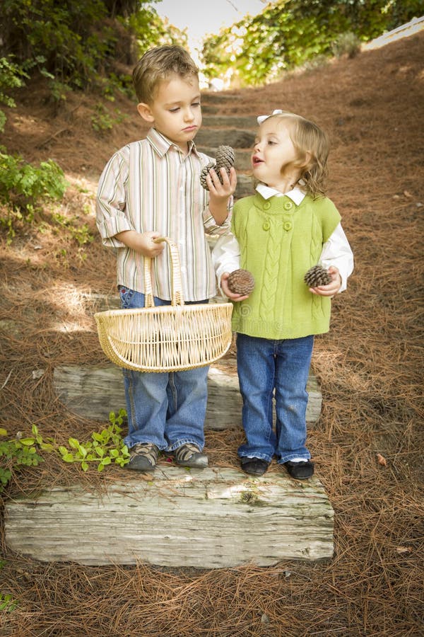 Two Children with Basket Collecting Pine Cones Stock Image - Image of ...