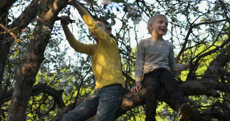 Two Children of Friend are Sitting on Tree and Laughing. Children ...
