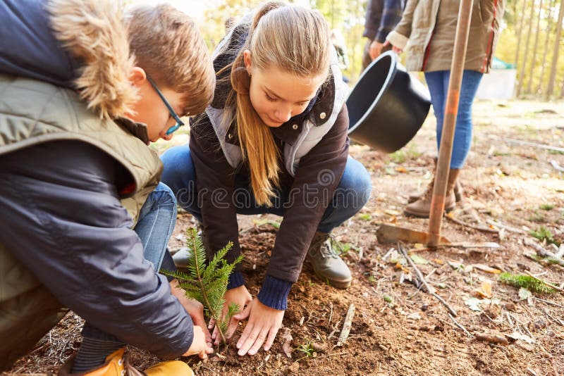Two Children Plant a Tree in the Forest on Forest School Day Stock ...