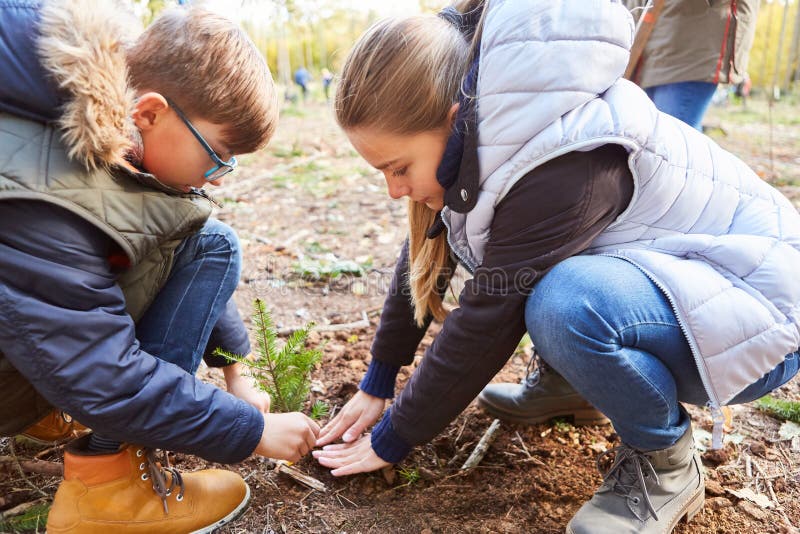 Two Children Planting a Tree in the Forest for Environmental Protection ...