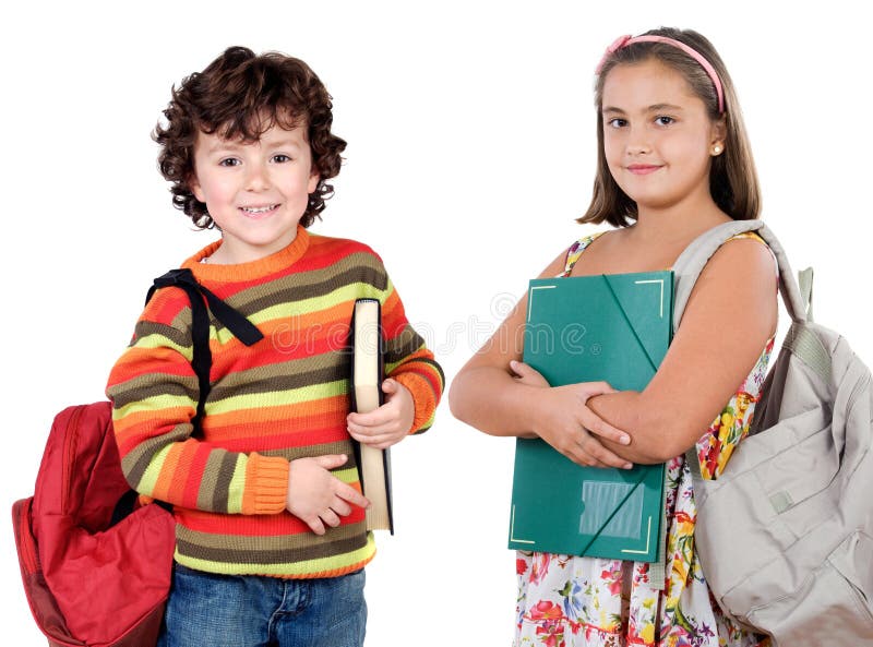 Fir Evergreen Trees in an Old Growth Forest Stock Photo - Image of ...