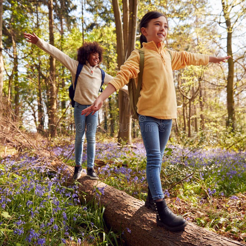 Two Children Walking through Bluebell Woods in Springtime Balancing on ...
