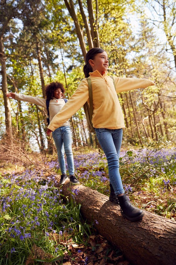 Two Children Walking through Bluebell Woods in Springtime Balancing on ...