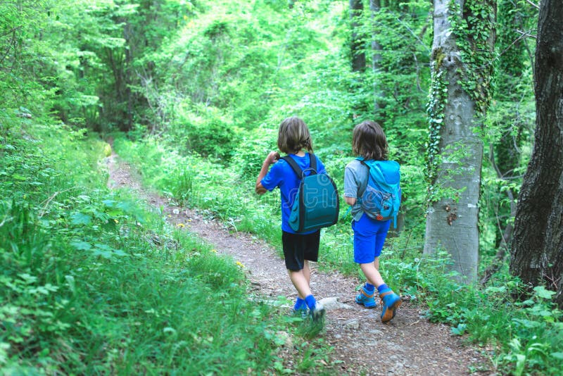 Two Children are Walking on a Path Stock Photo - Image of trail ...
