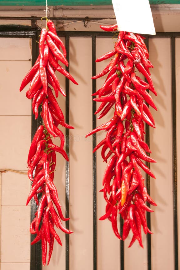 Two Chilli Strings stock image. Image of spice, shiny - 17027575