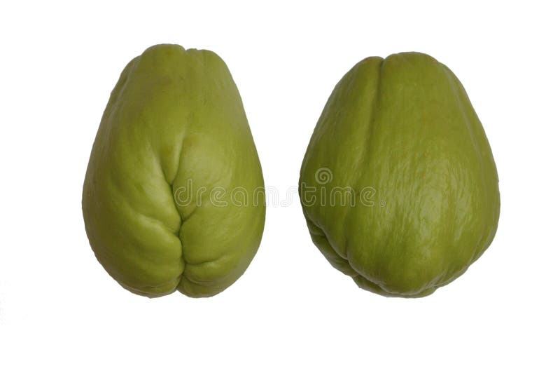 Two chow chow fruit stock image. Image of chow, close - 81994641