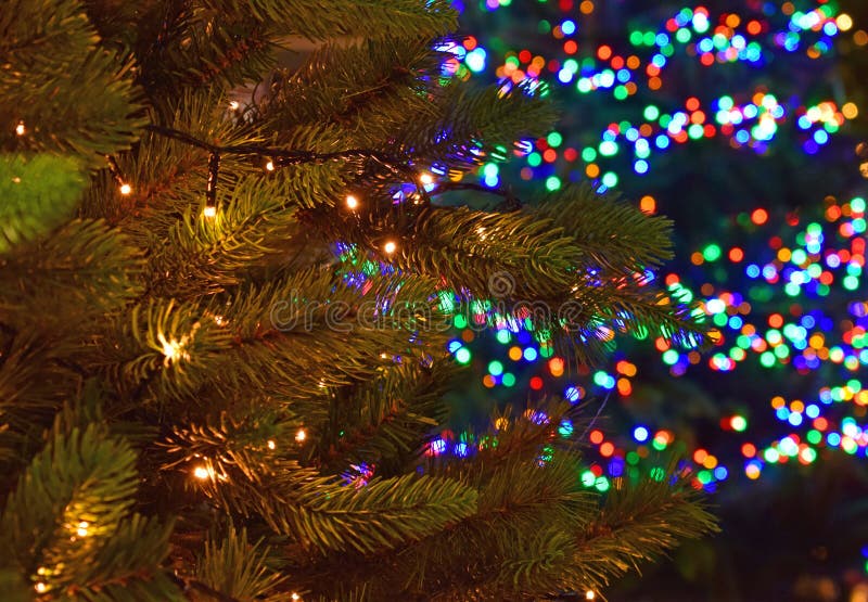 Two Christmas Trees with Different Lights, White and Colorful Stock ...