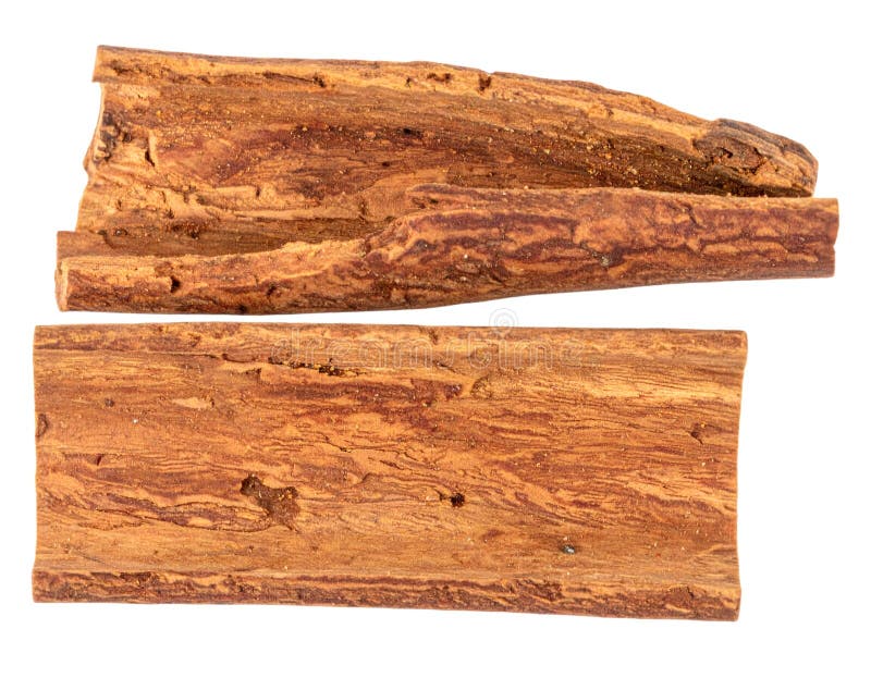 Two Cinnamon Bark Pieces Showing Inner and Outer Texture on Transparent ...
