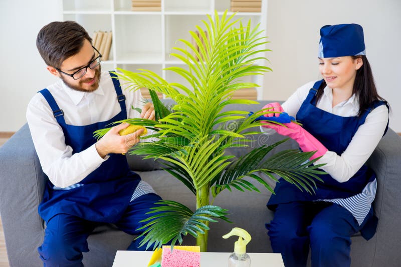 Two Cleaning Service Workers Stock Photo - Image of female, people ...