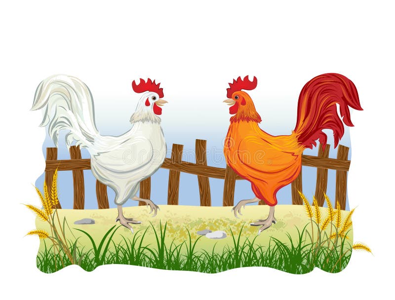 Chickens Fence Stock Illustrations – 1,027 Chickens Fence Stock ...