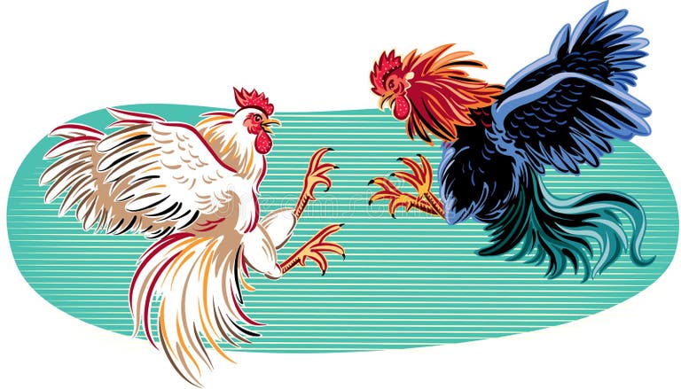Chicken Fight Stock Illustrations – 1,481 Chicken Fight Stock ...
