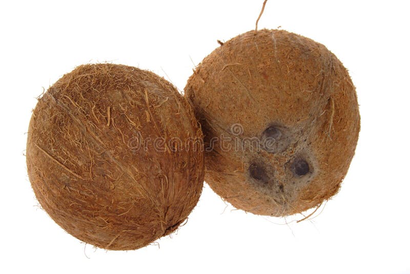 Coconut background stock image. Image of fuzzy, shell - 6880925