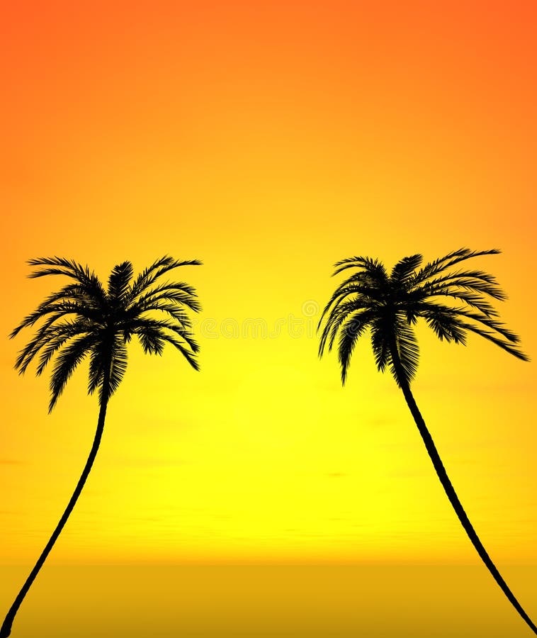 Two Coconut Trees with Sunset View Stock Photo - Image of spring ...