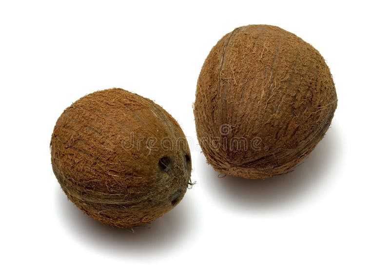 Two coconuts stock image. Image of life, eatable, color - 1971259