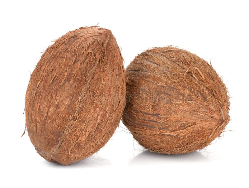 Coconuts stock image. Image of nature, food, exotic, brown - 13279087
