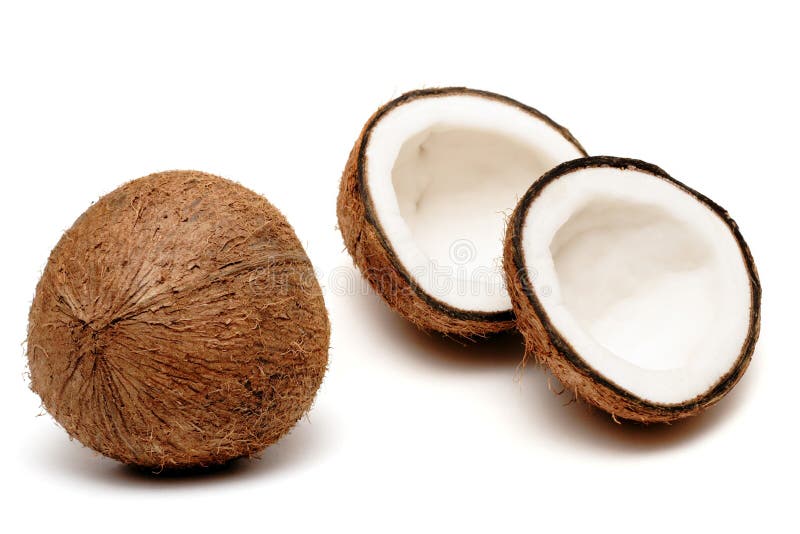 Two Coconuts Picture. Image: 4469779
