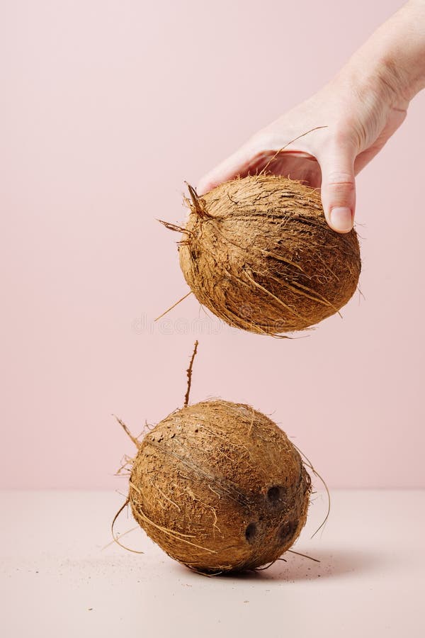 Two Coconuts on a Pink Background Stock Photo - Image of healthy, round ...