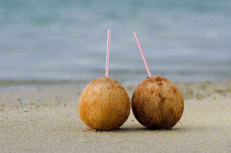 Two Coconuts on Sandy Sea Shore Stock Photo - Image of islands, alcohol ...