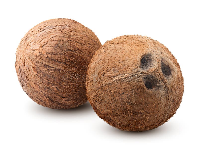 Two Coconuts Whole, Isolated on White Background Stock Image - Image of ...