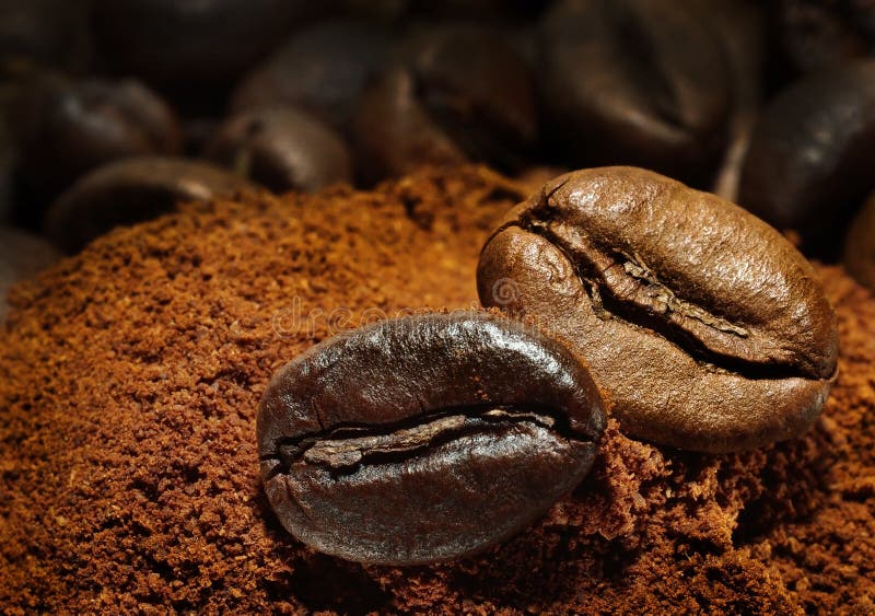 Two coffee beans stock photo. Image of ingredient, macro - 29293446
