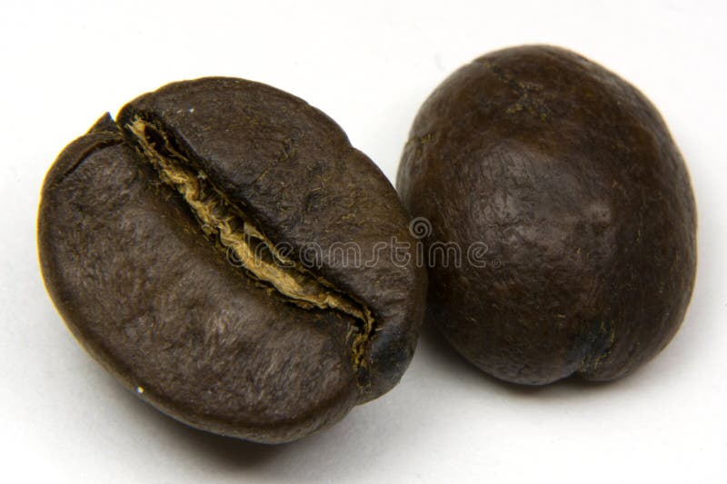 Two Coffee Beans Isolated on White Stock Image - Image of aroma, coffe ...