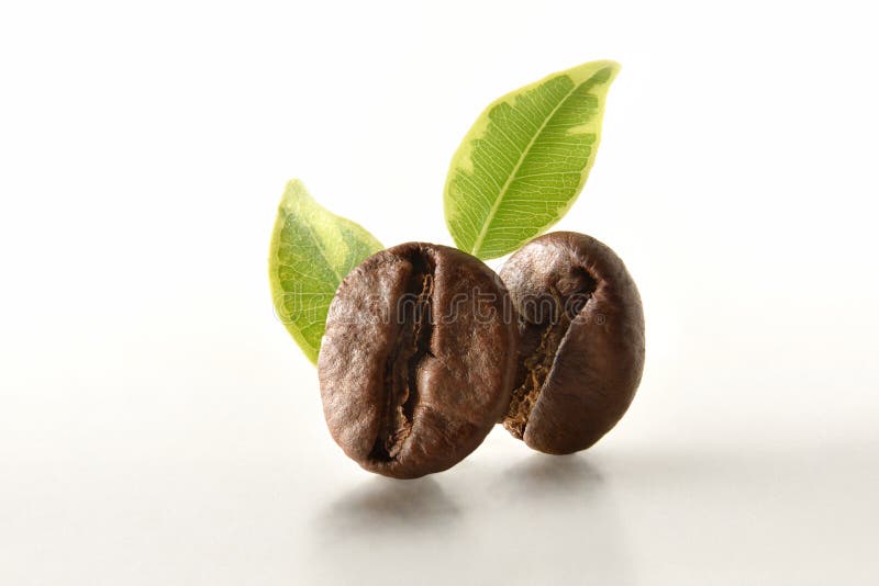 Two Coffee Beans and Leaves on White Table Front Macro Stock Photo ...