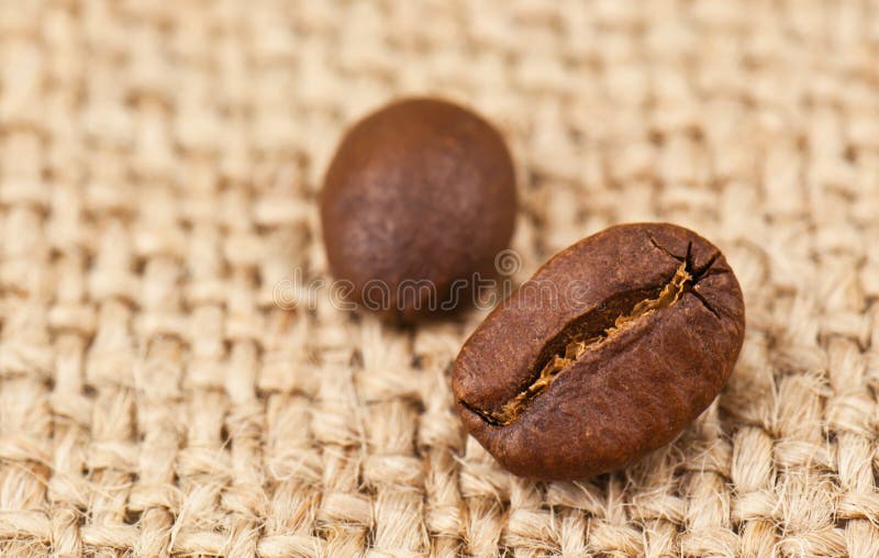 Two coffee beans stock photo. Image of dark, mocha, coffee - 30795680