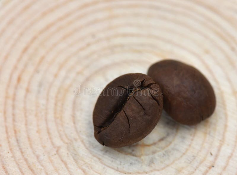 Two Coffee Beans are on the Tree Stool Stock Image - Image of coffee ...
