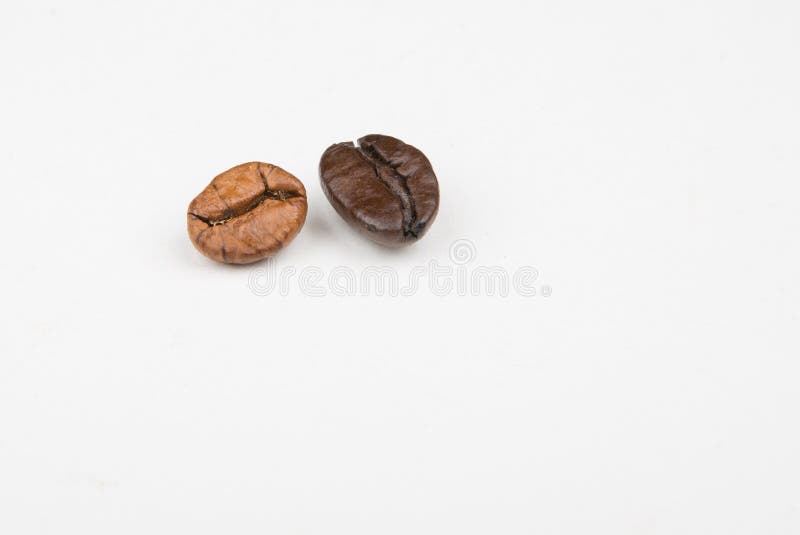 Two Coffee beans stock photo. Image of beans, white, drink - 53496082