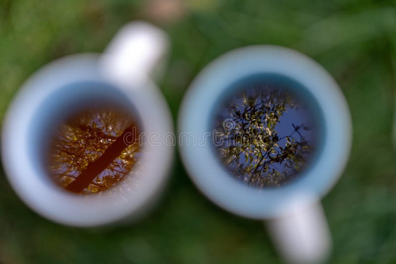 Two Coffee Mugs with Reflection Stock Photo - Image of morning, summer ...
